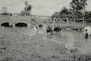 monxton_bridge_1903 « Monxton Matters